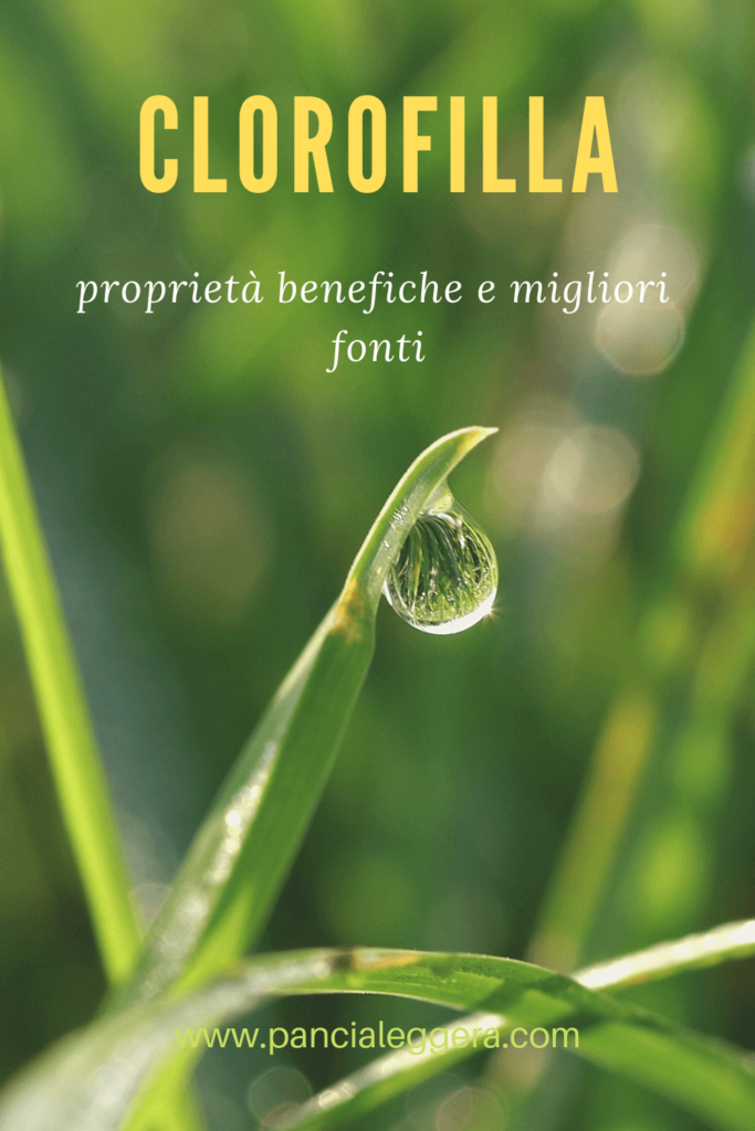 Clorofilla: perché mangiare cibi verdi? - Pancia Leggera